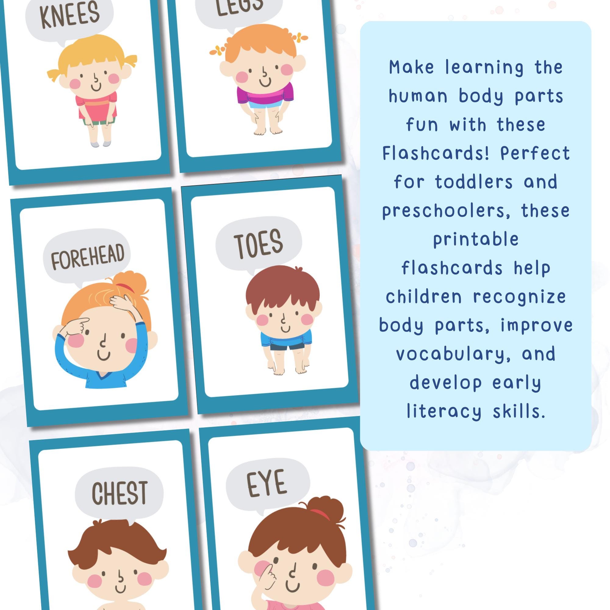 Human Body Flashcards: Anatomy Learning for Toddlers (printable PDF) - Etsy