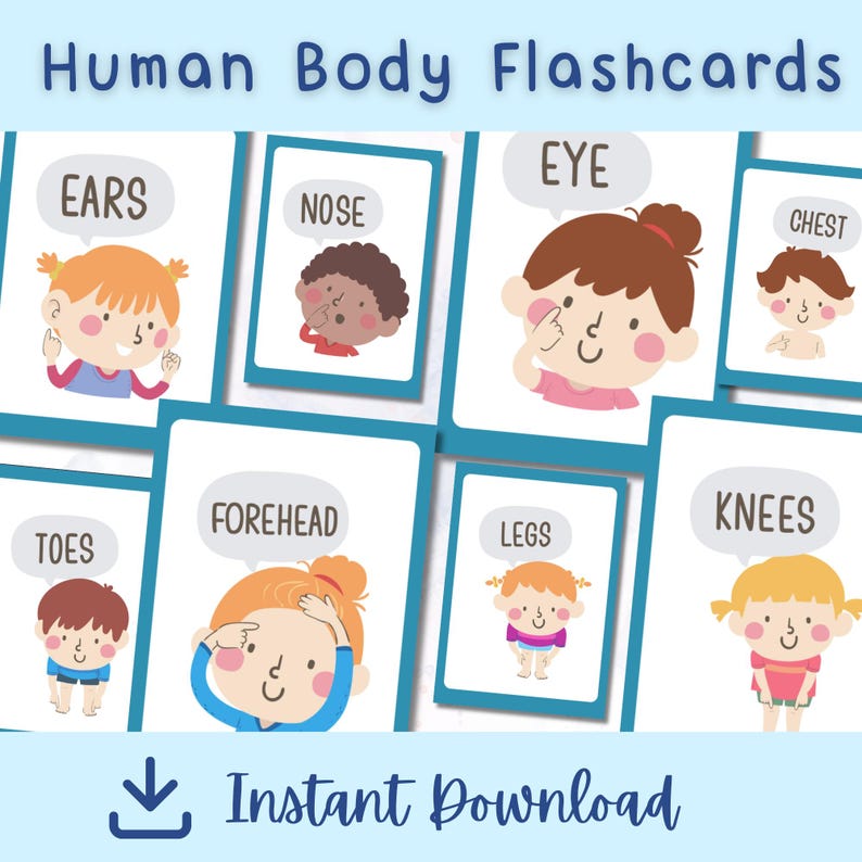 Human Body Flashcards for Kids – Printable Anatomy Learning Cards for ...