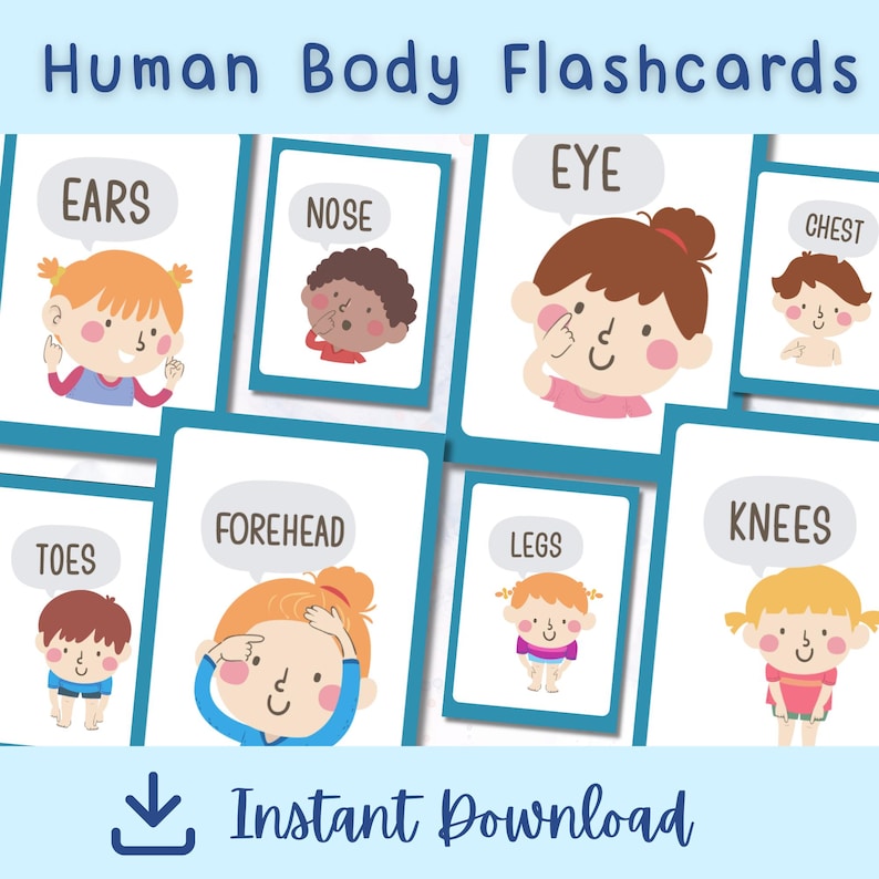 Printable Human Body Flashcards Anatomy Learning Cards for Kids ...
