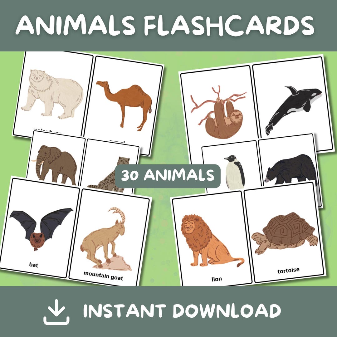 30 Animal Flashcards for Kids Printable Learning Cards for Early ...