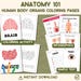 Anatomy 101 Coloring Pages for Kids Human Body Organs Educational ...