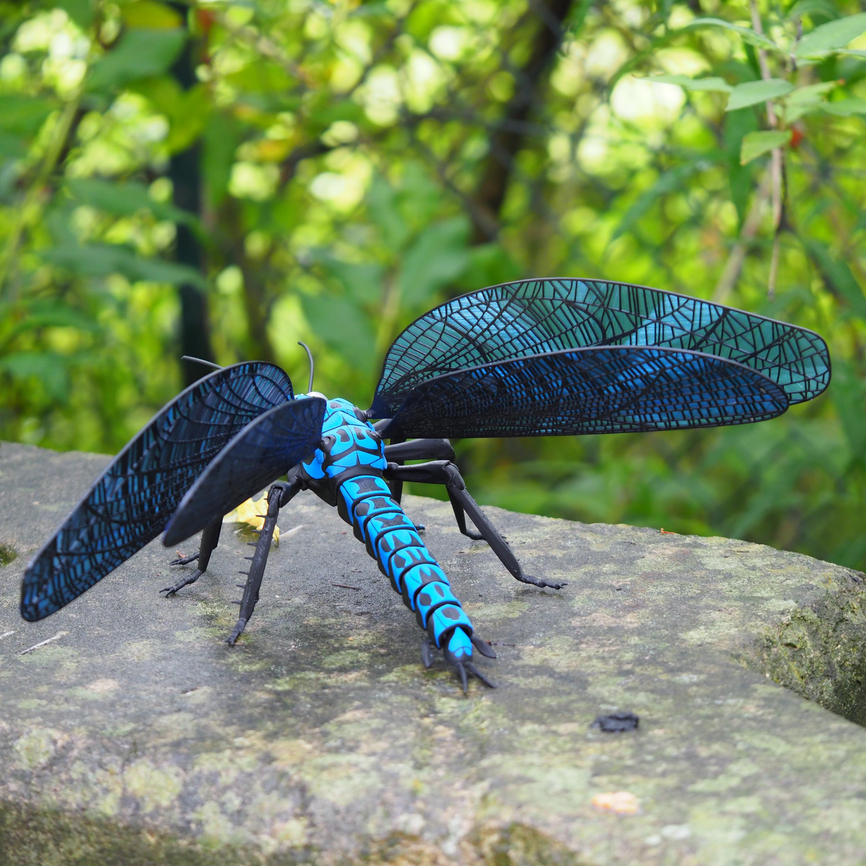 Meganeura Giant Prehistoric Dragonfly - Etsy