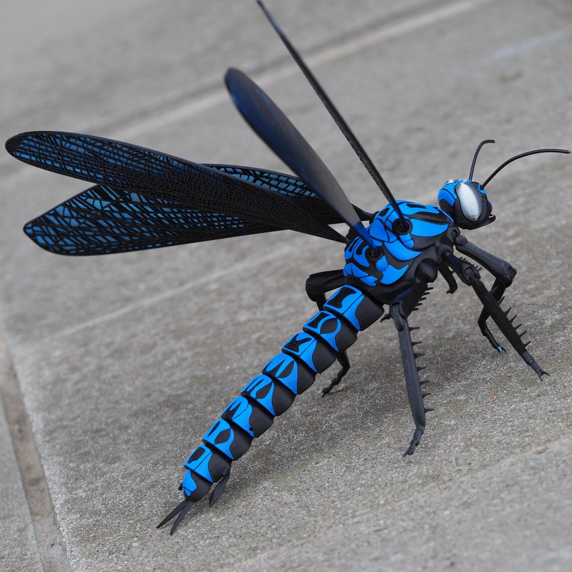 Meganeura Giant Prehistoric Dragonfly - Etsy