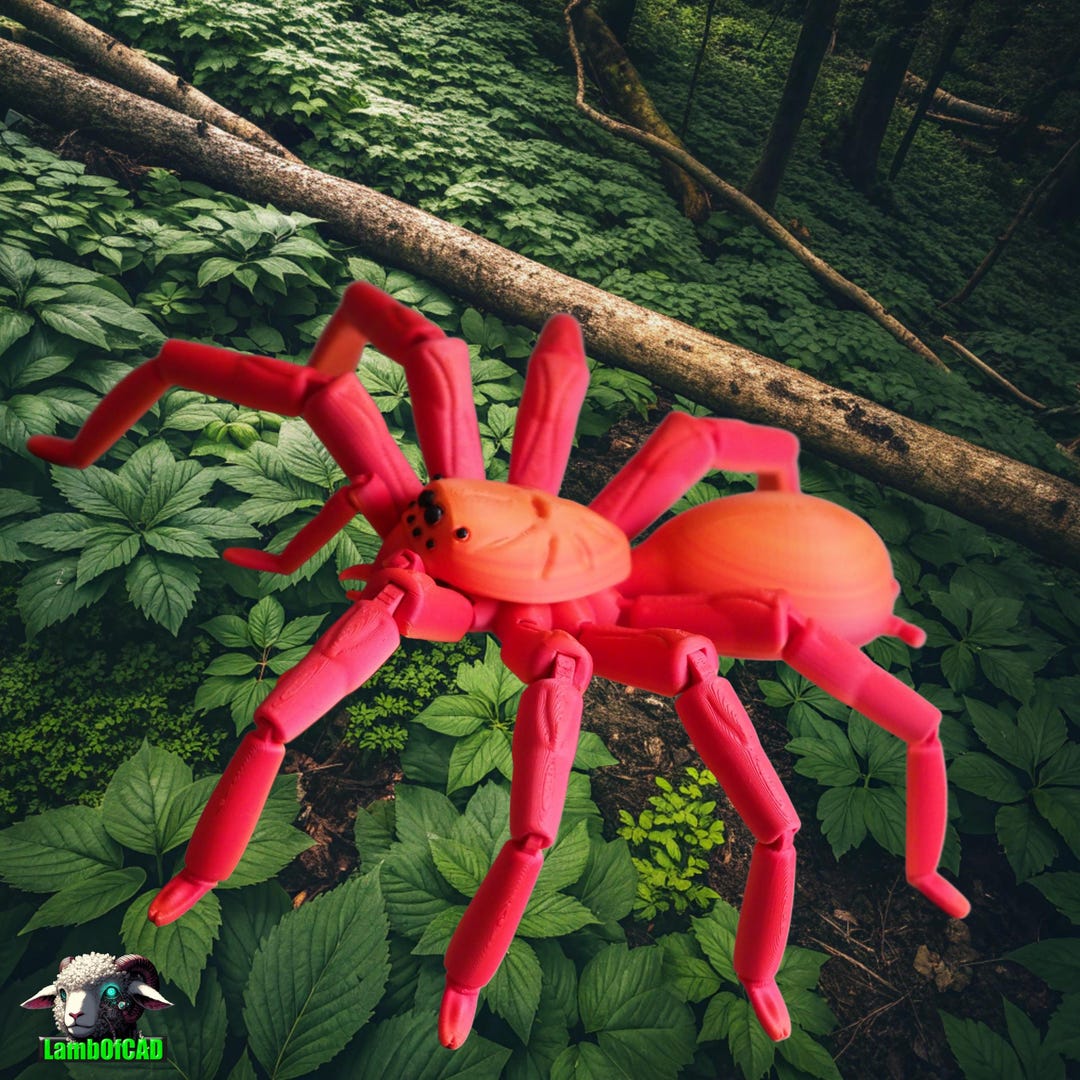 Birdeater Spider 3d Print File - Etsy