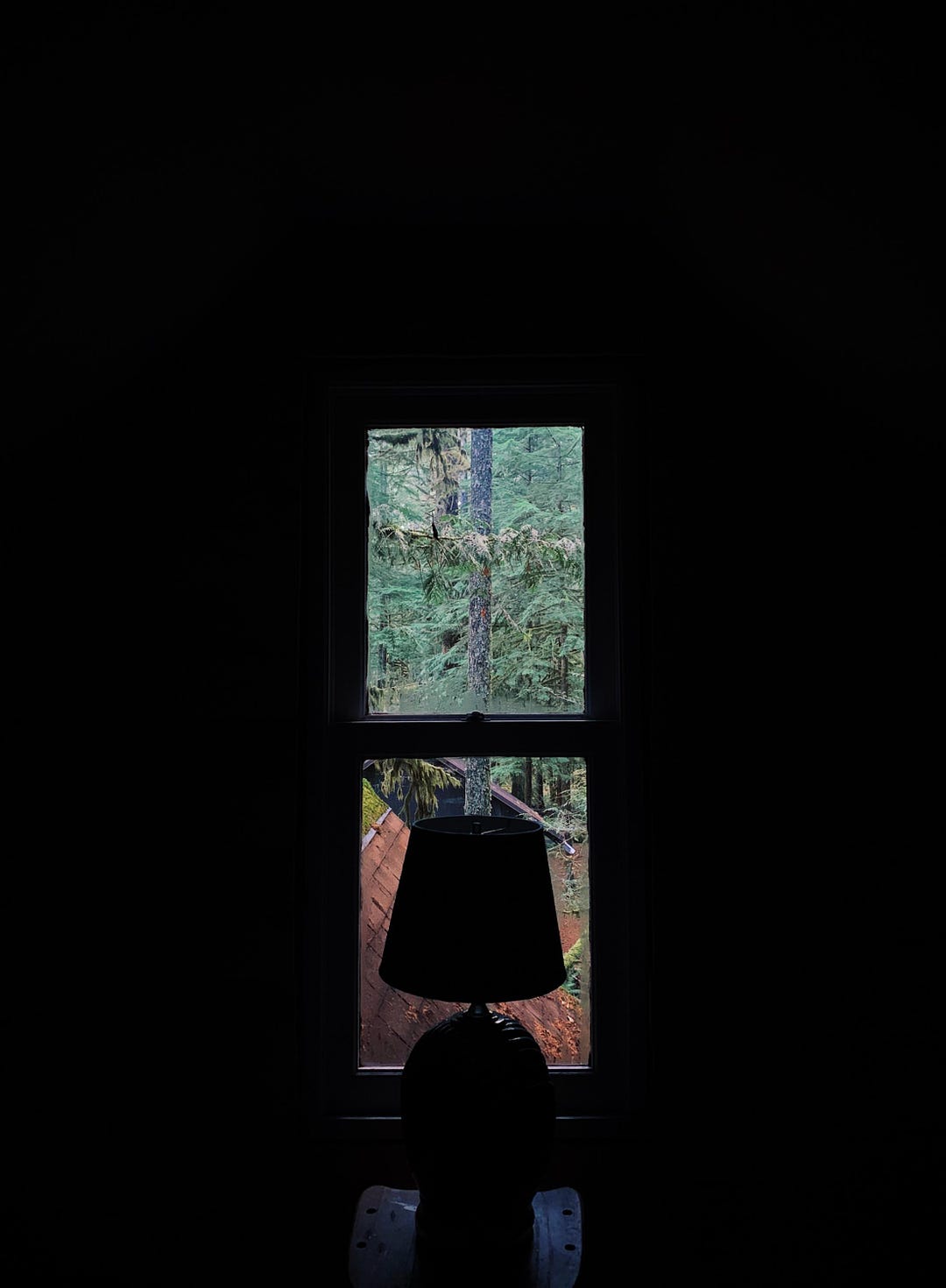 Dark Cabin Window View With a Lamp, Looking Into the Woods, Moody ...