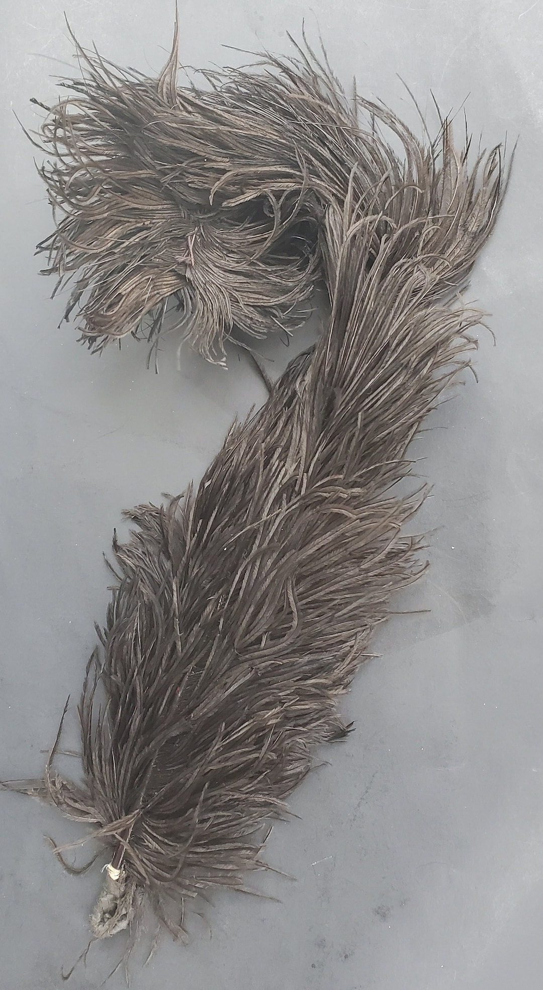 ANTIQUE Ostrich Feather Victorian Plume Feather Black - Etsy