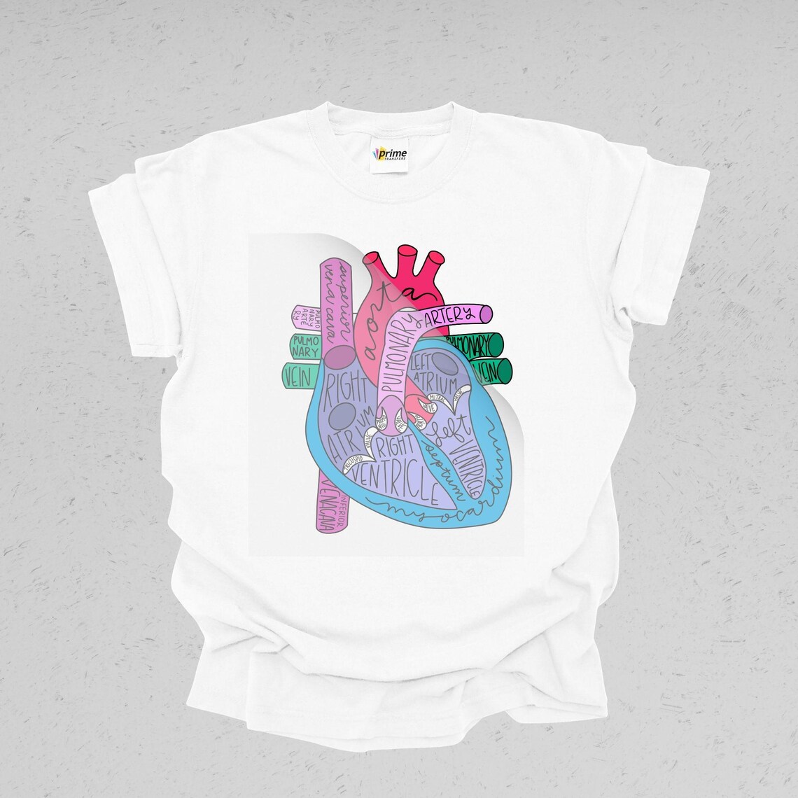 Heart Anatomy DTF Transfer: Medical Nursing Print, Cardiologist Gift - Etsy