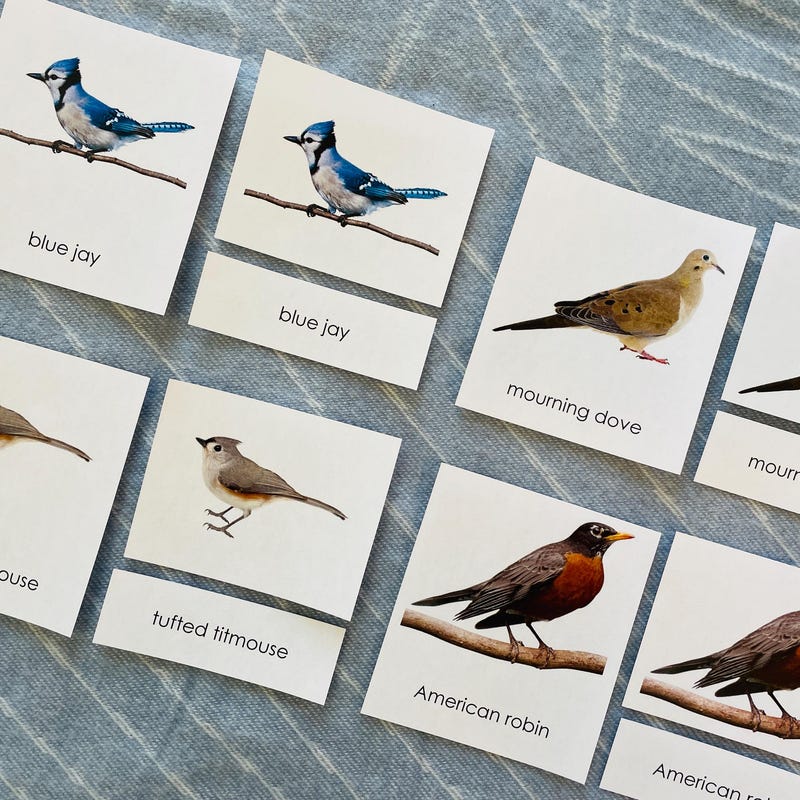 Montessori Language - Etsy