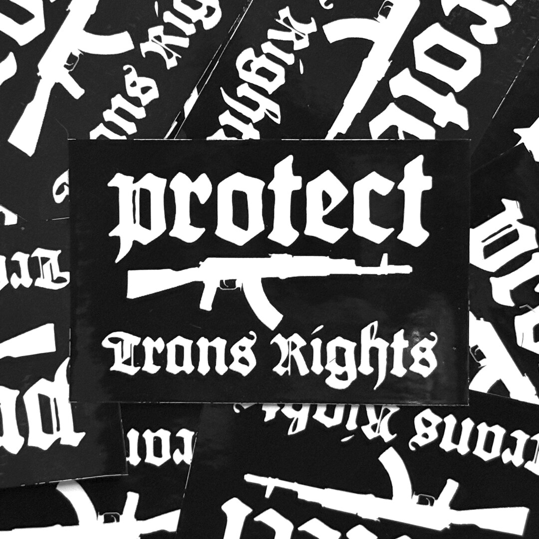 PROTECT TRANS RIGHTS - 2x3 Handcut Glossy Vinyl Sticker - Etsy