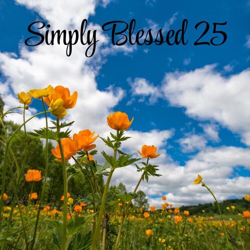 SimplyBlessed25 - Etsy