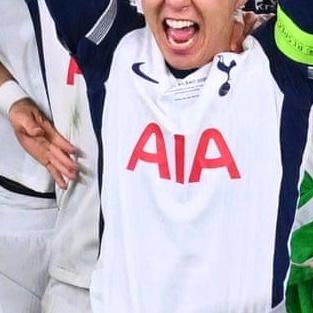 Tottenham Hotspur Football Club Embroidery, Shield, Logo,: Iron on ...