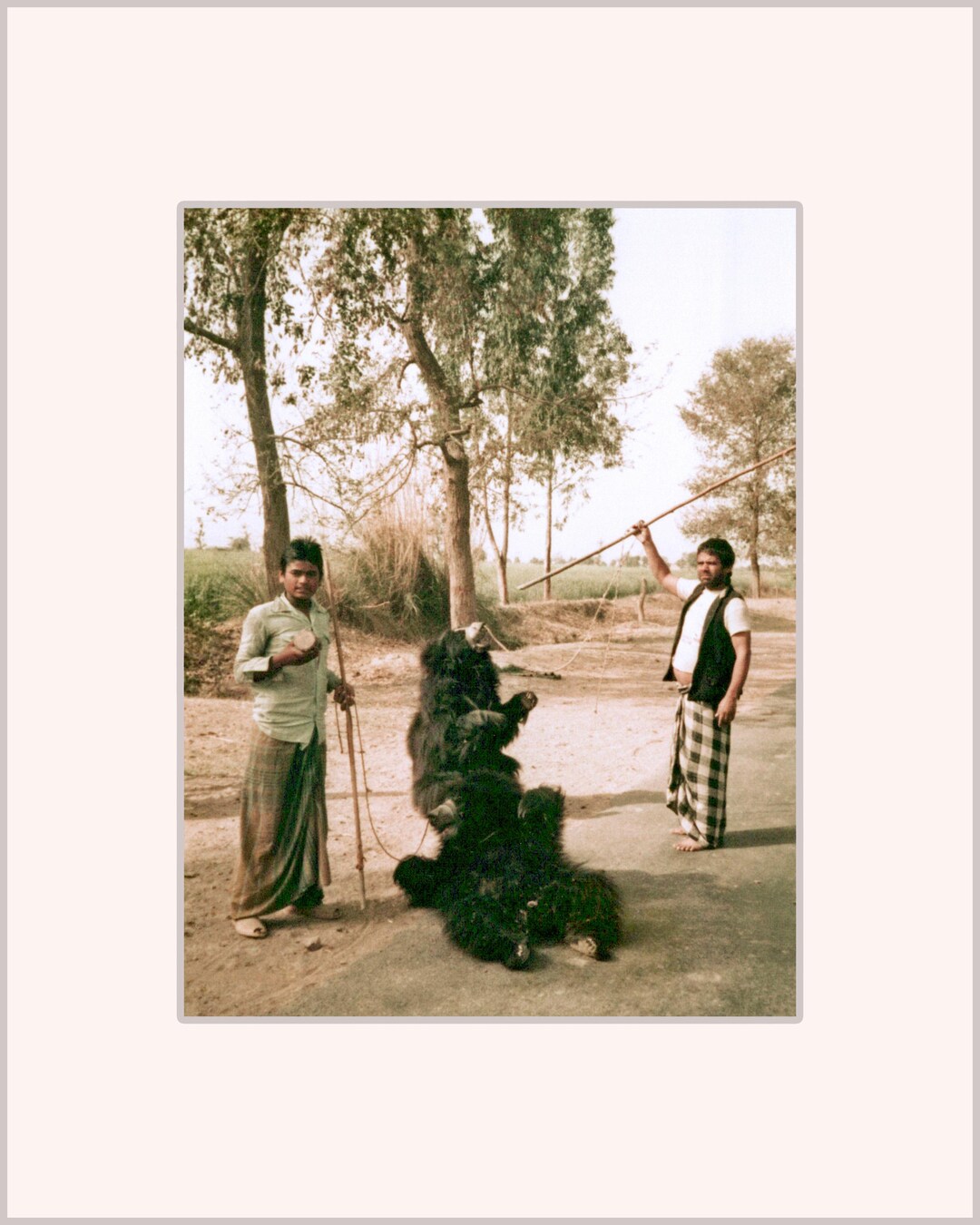 A8: Two Dancing Bears, Fatehpur Sikri - Etsy