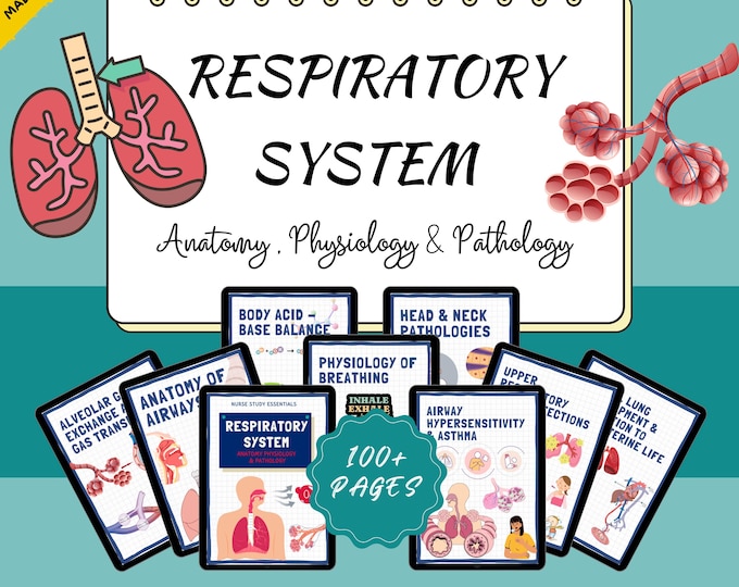 Respiratory System Nursing Notes | Student Study Guides | Auscultating ...