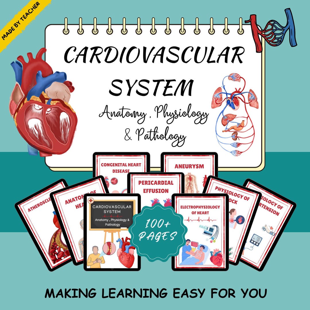 Cardiovascular System, Cardiac Notes, Nursing Notes, Cardiovascular ...