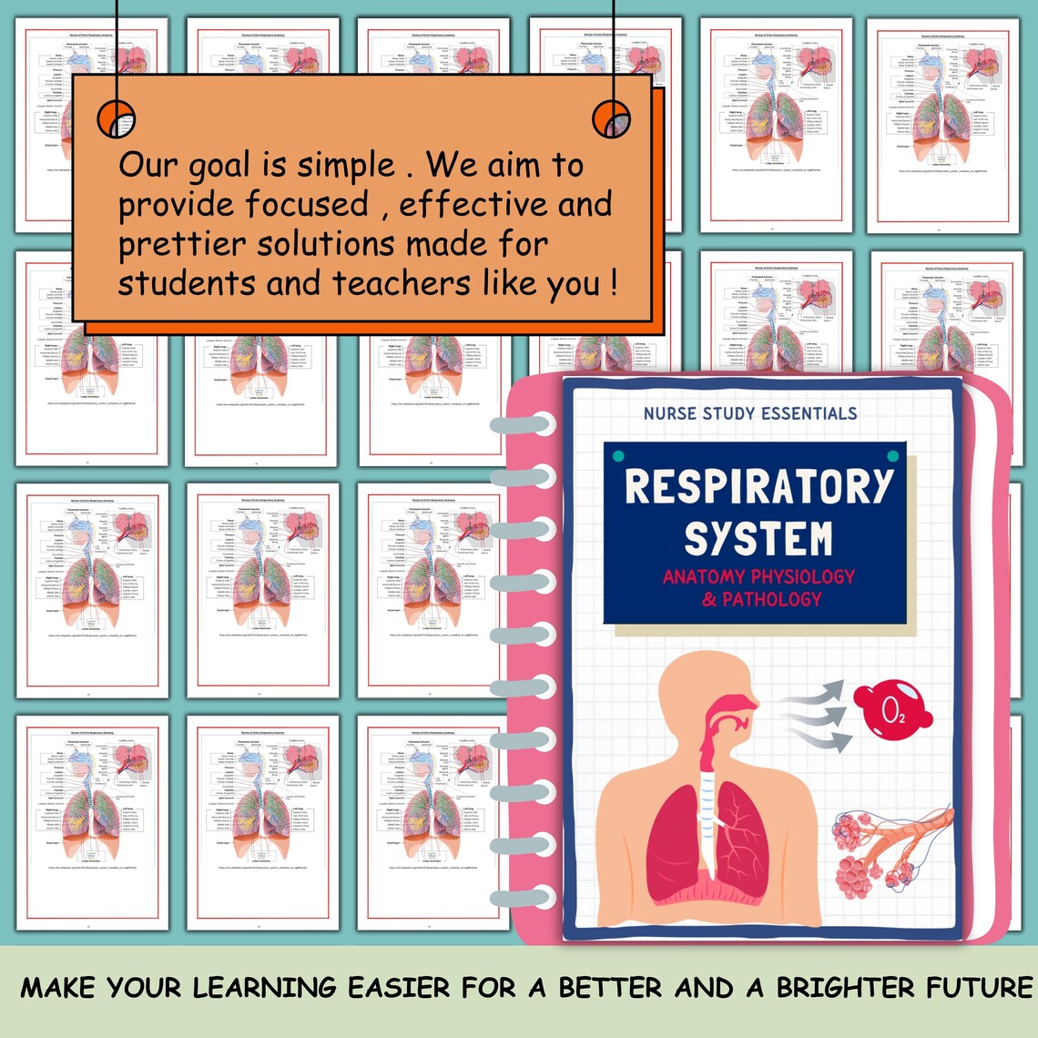 Respiratory System Study Guide: Nursing Notes, Anatomy & Disorders ...
