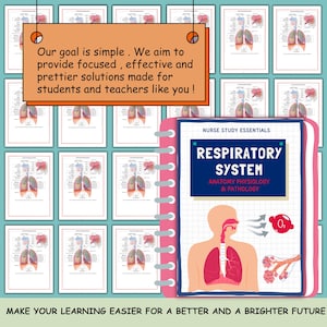 Respiratory System Study Guide: Nursing Notes, Anatomy & Disorders ...