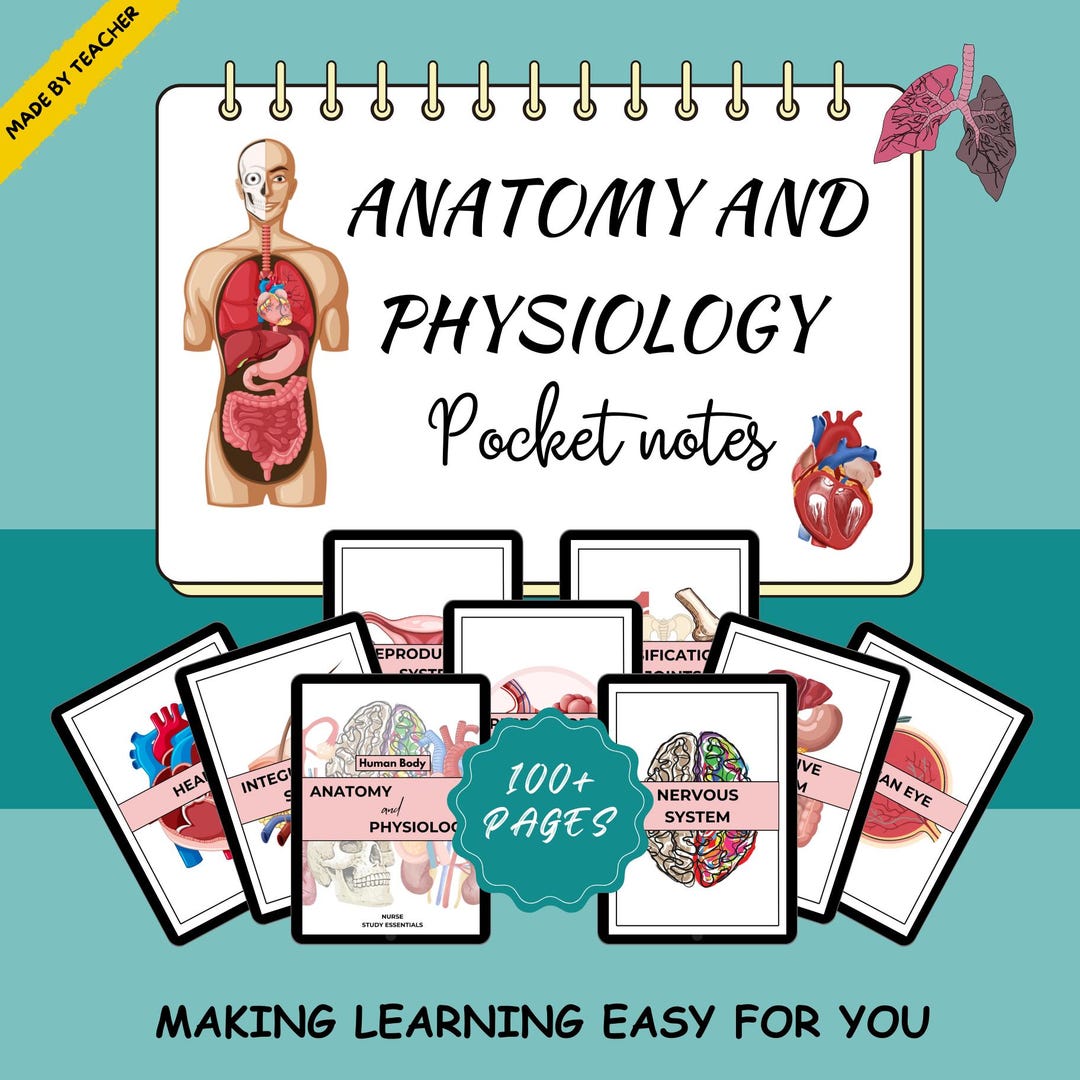 Anatomy Physiology Study Guide - Physiology Notes - Anatomy Notes ...