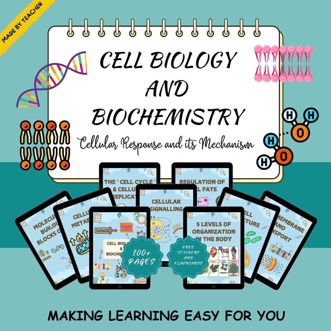Cell Biology & Biochemistry Study Guide: Nursing School Cheat Sheets ...