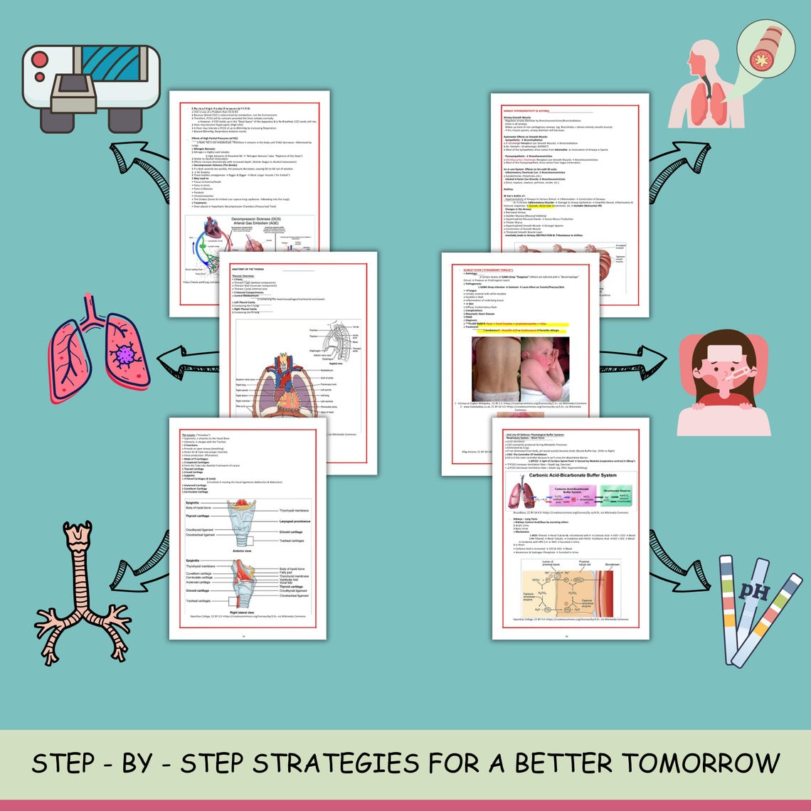 Respiratory System Study Guide: Nursing Notes, Anatomy & Disorders ...