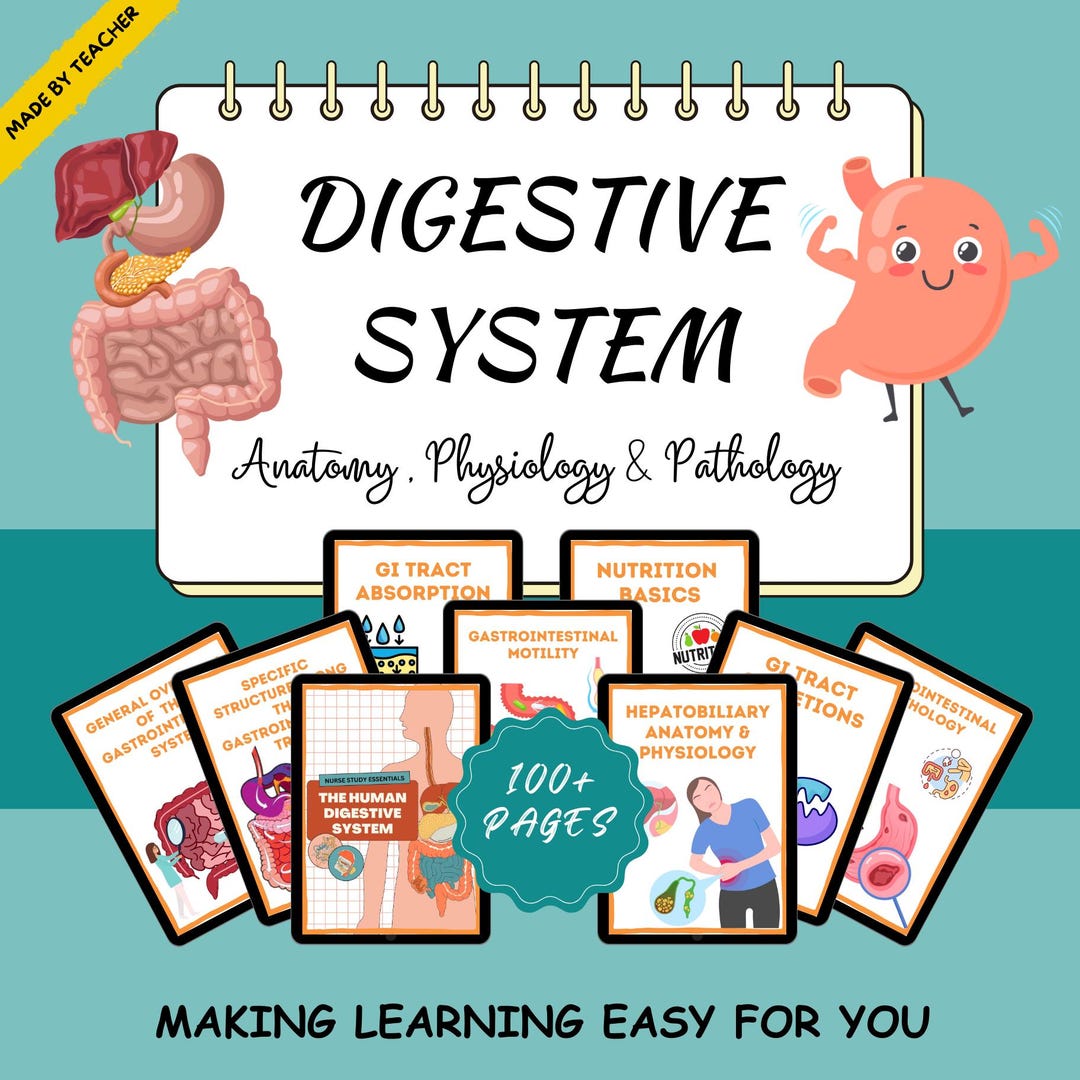 Digestive System Notes: Anatomy & Physiology Nursing Bundle (digital ...