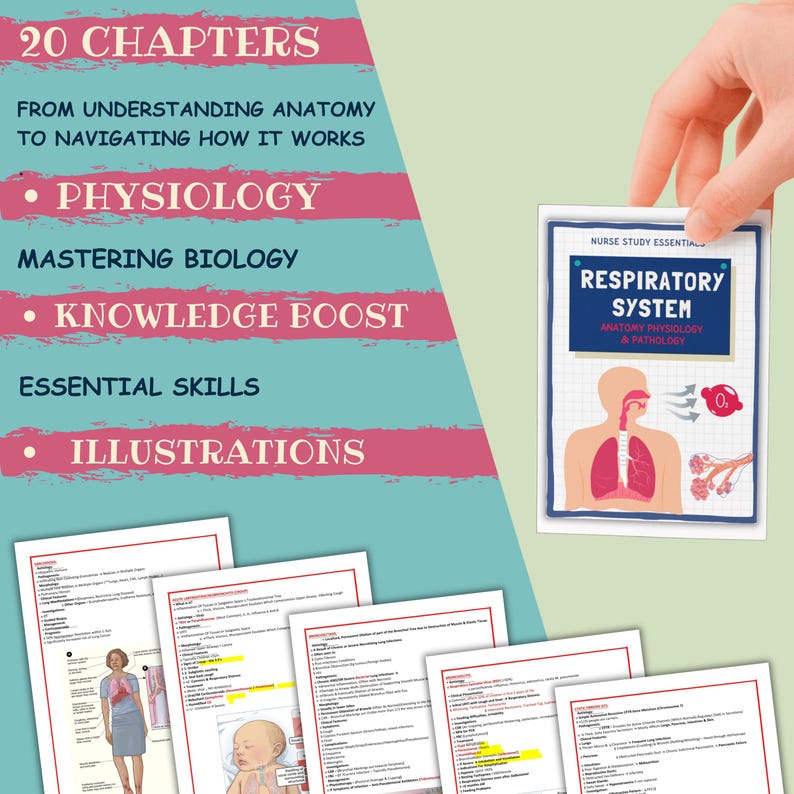 Respiratory System Study Guide: Nursing Notes, Anatomy & Disorders ...