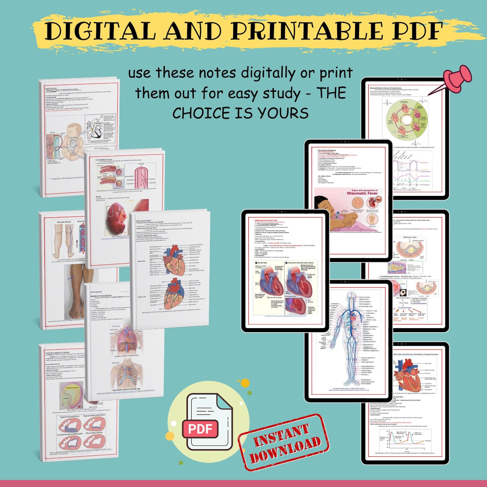 Anatomy & Physiology Flashcards - Anatomy Physiology Study Guide ...