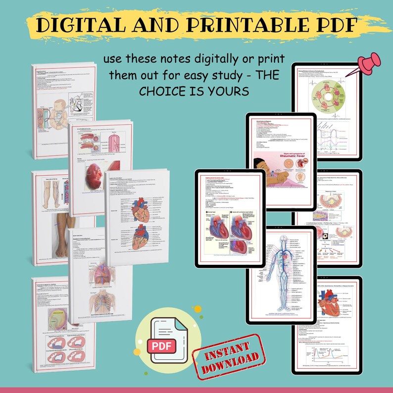 Anatomy & Physiology Flashcards: Nursing Medical Study Guide (PDF) - Etsy