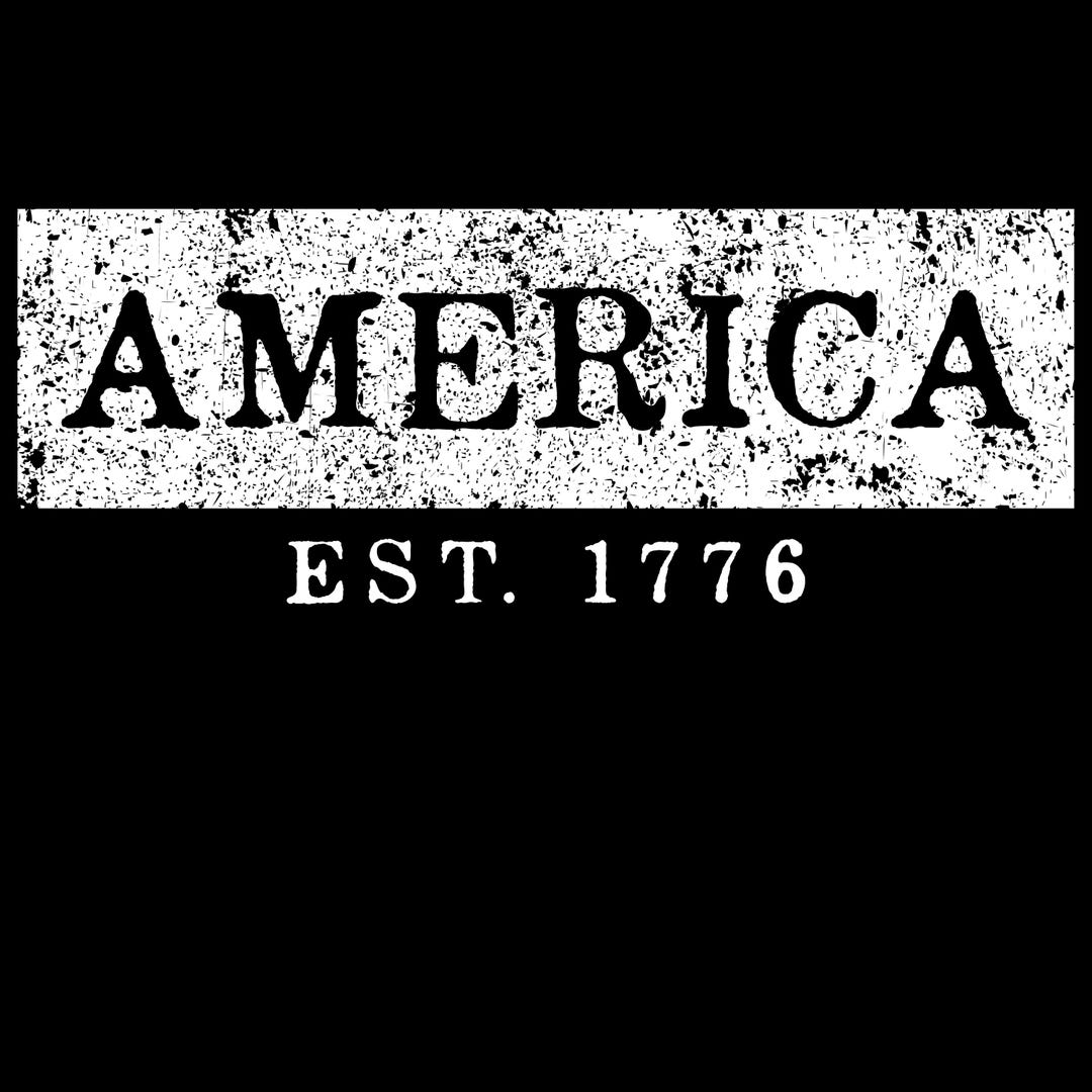 America Established 1776 Design, Patriotic USA Flag (png, Psd, Svg) - Etsy