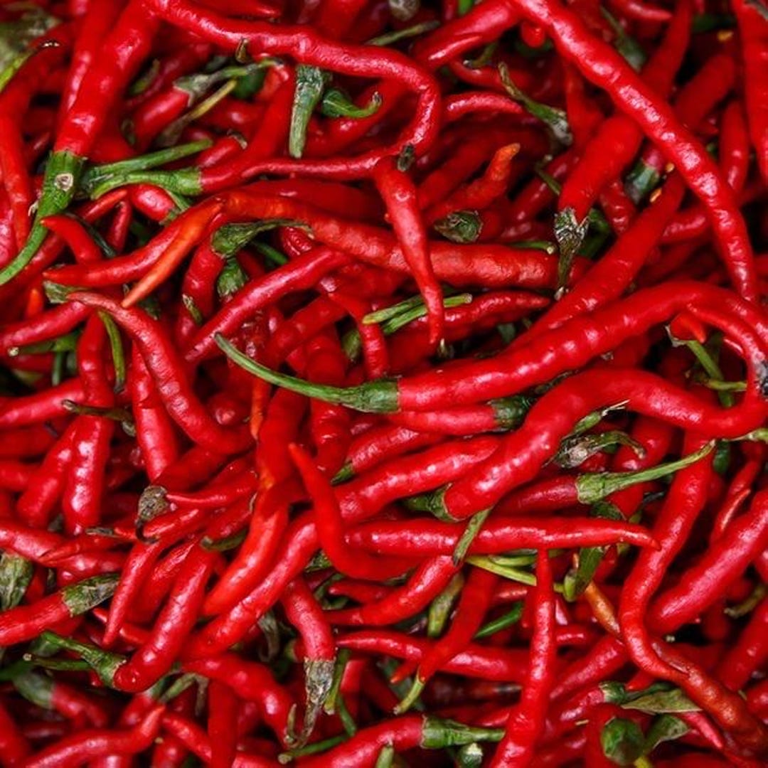 Long Thin Cayenne Pepper Seeds - Etsy