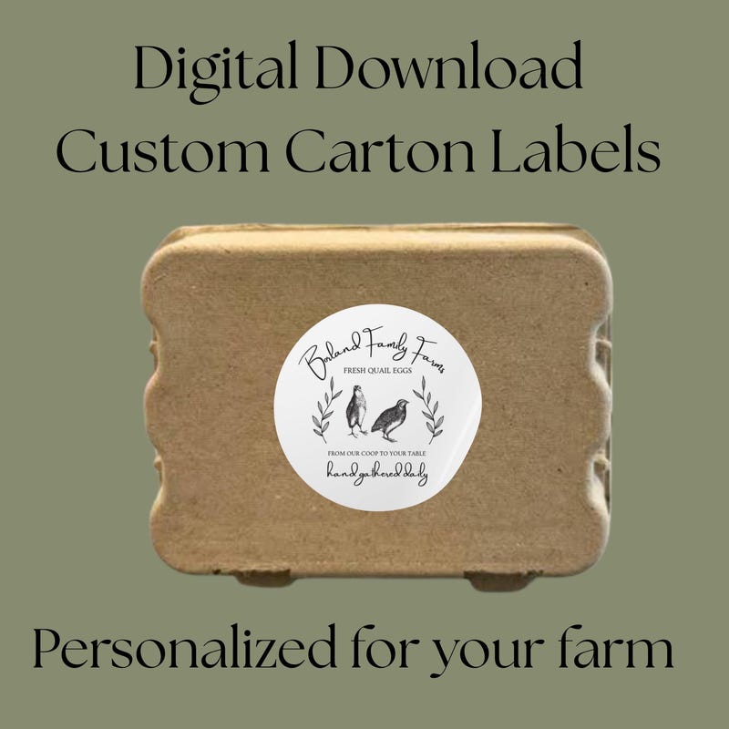 Quail Stickers - Etsy