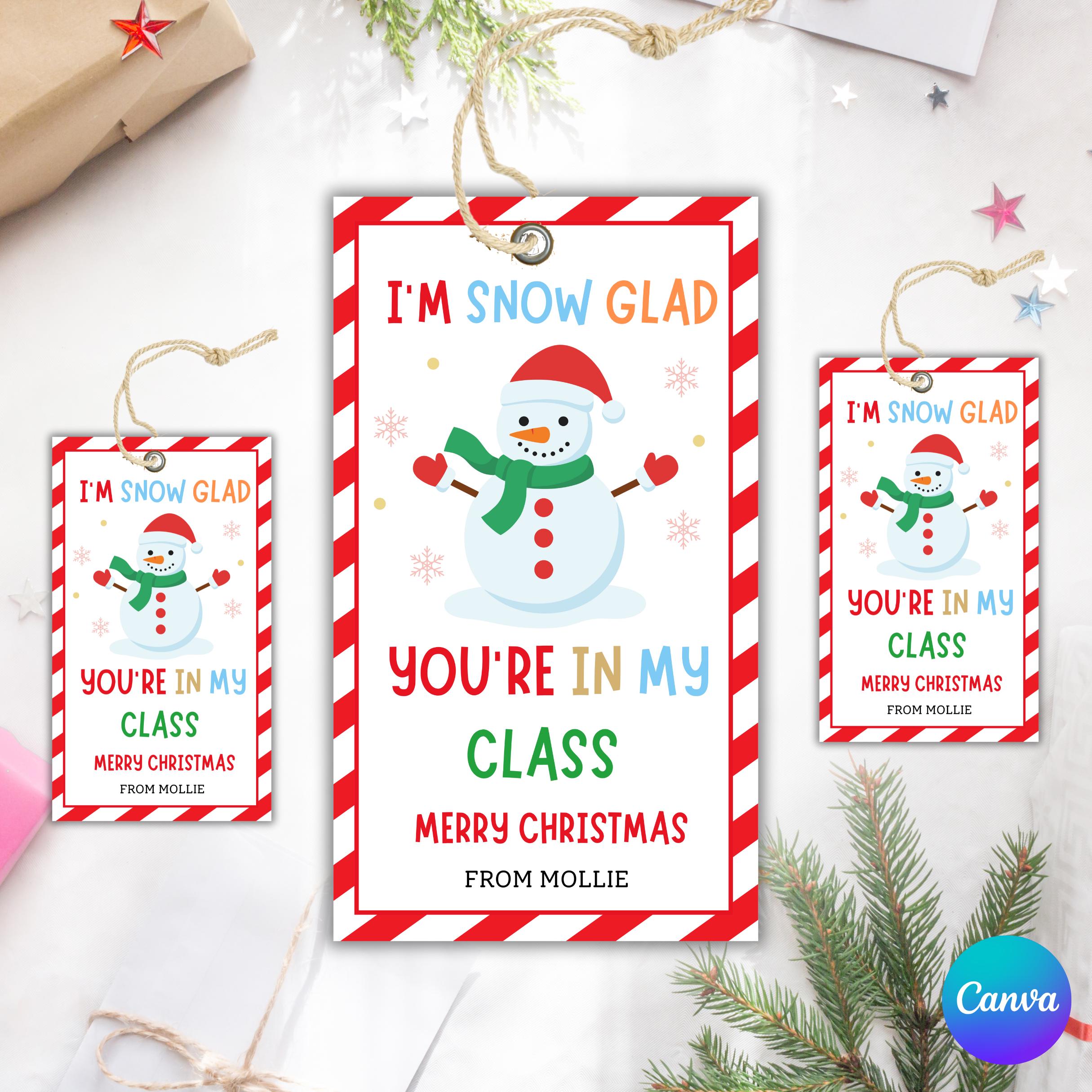 Christmas Classmate Gift Tag, School Xmas Tag, Snow Glad You're in My ...