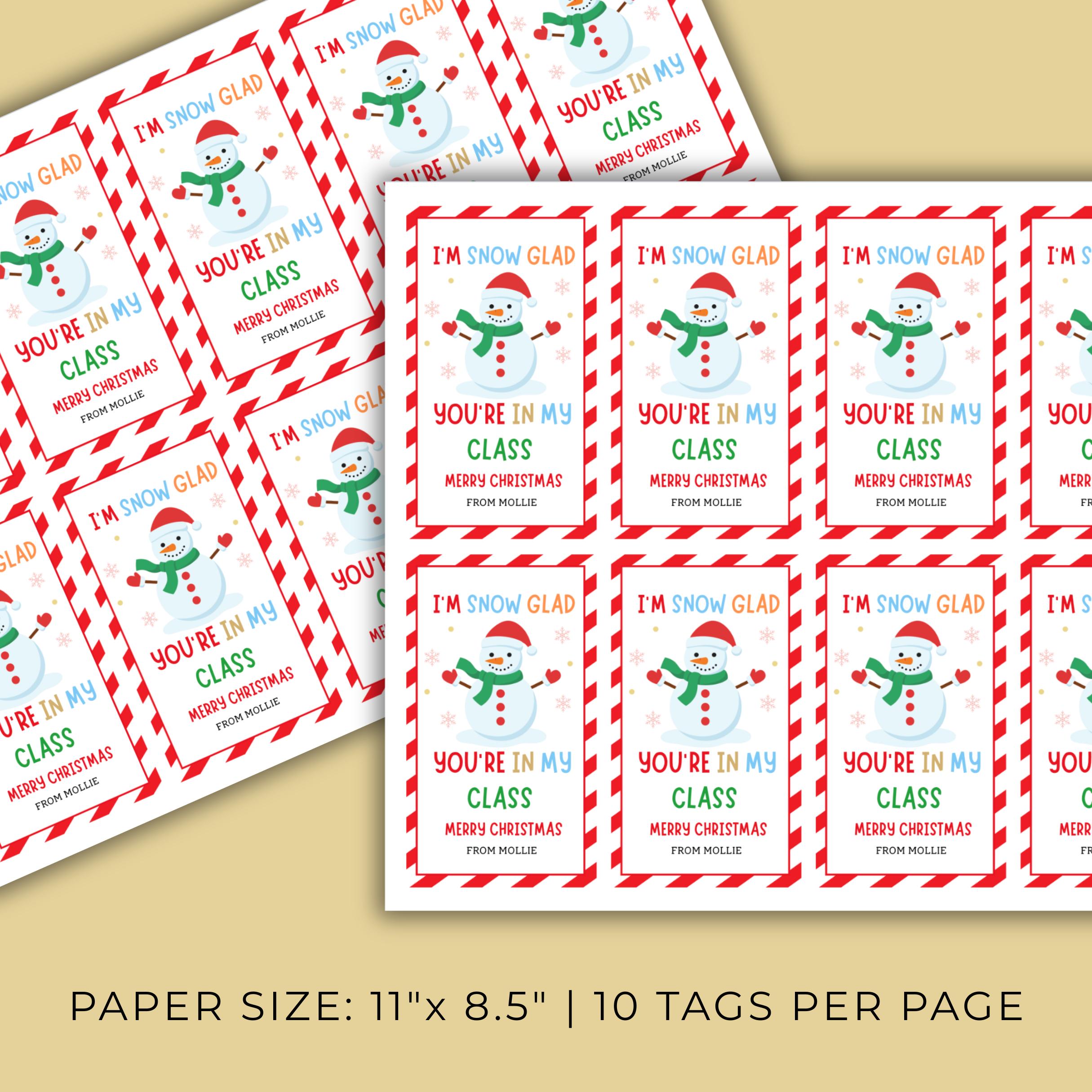 Christmas Classmate Gift Tag, School Xmas Tag, Snow Glad You're in My ...