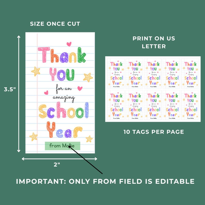 Teacher Appreciation Gift Tag, Classroom Teacher Tag End of School Year ...