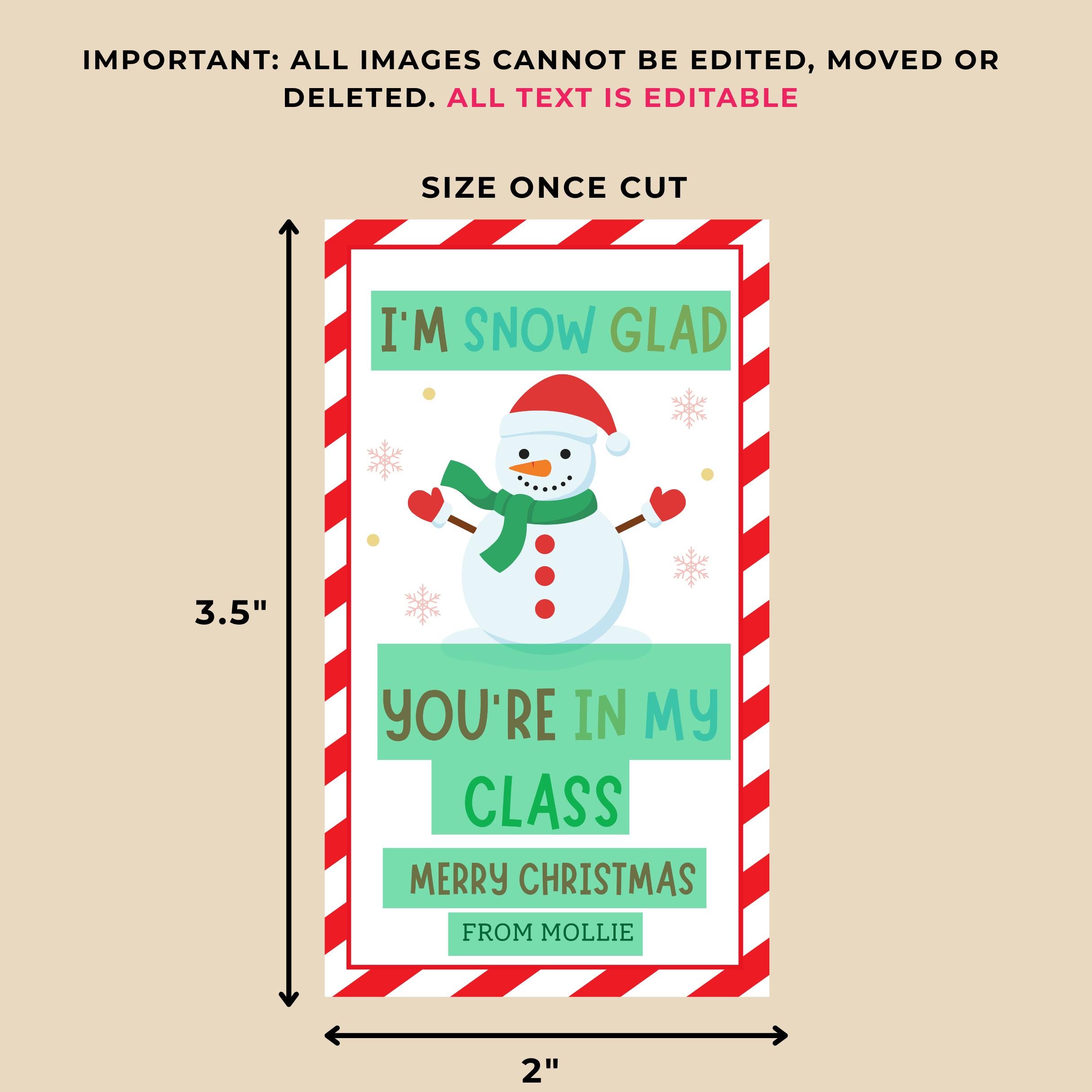 Christmas Classmate Gift Tag, School Xmas Tag, Snow Glad You're in My ...