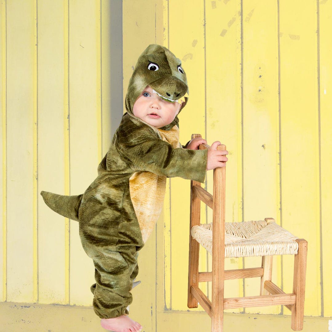 Baby and Toddler T Rex Costume - Etsy