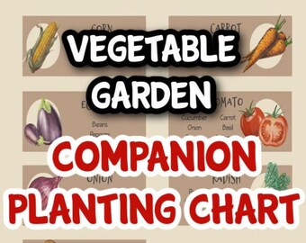 Vegetable Companion Planting Chart, Companion Garden Plants Printable ...