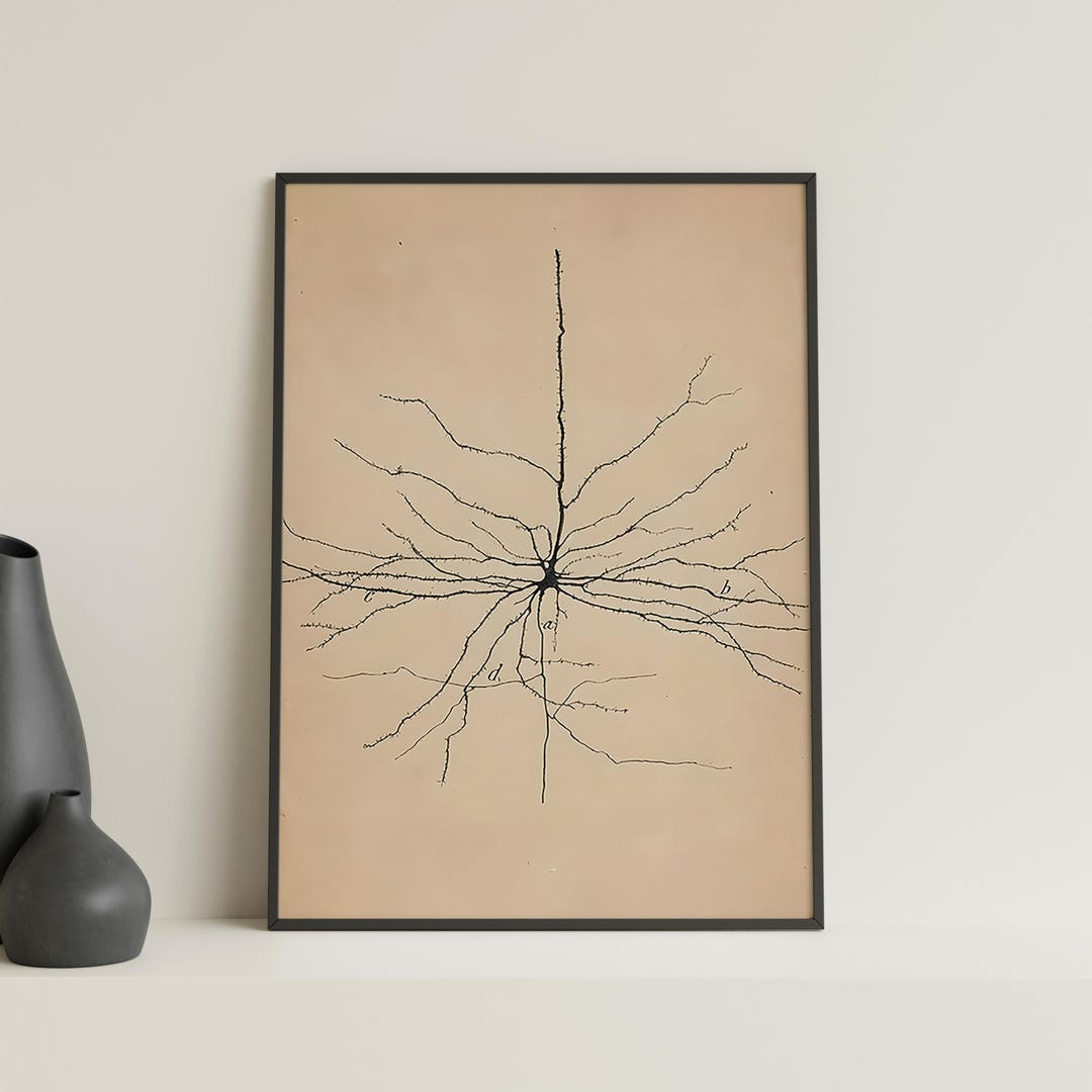 Santiago Ramón Y Cajal - Neuron Painting, Neuron Painting, Reproduction ...