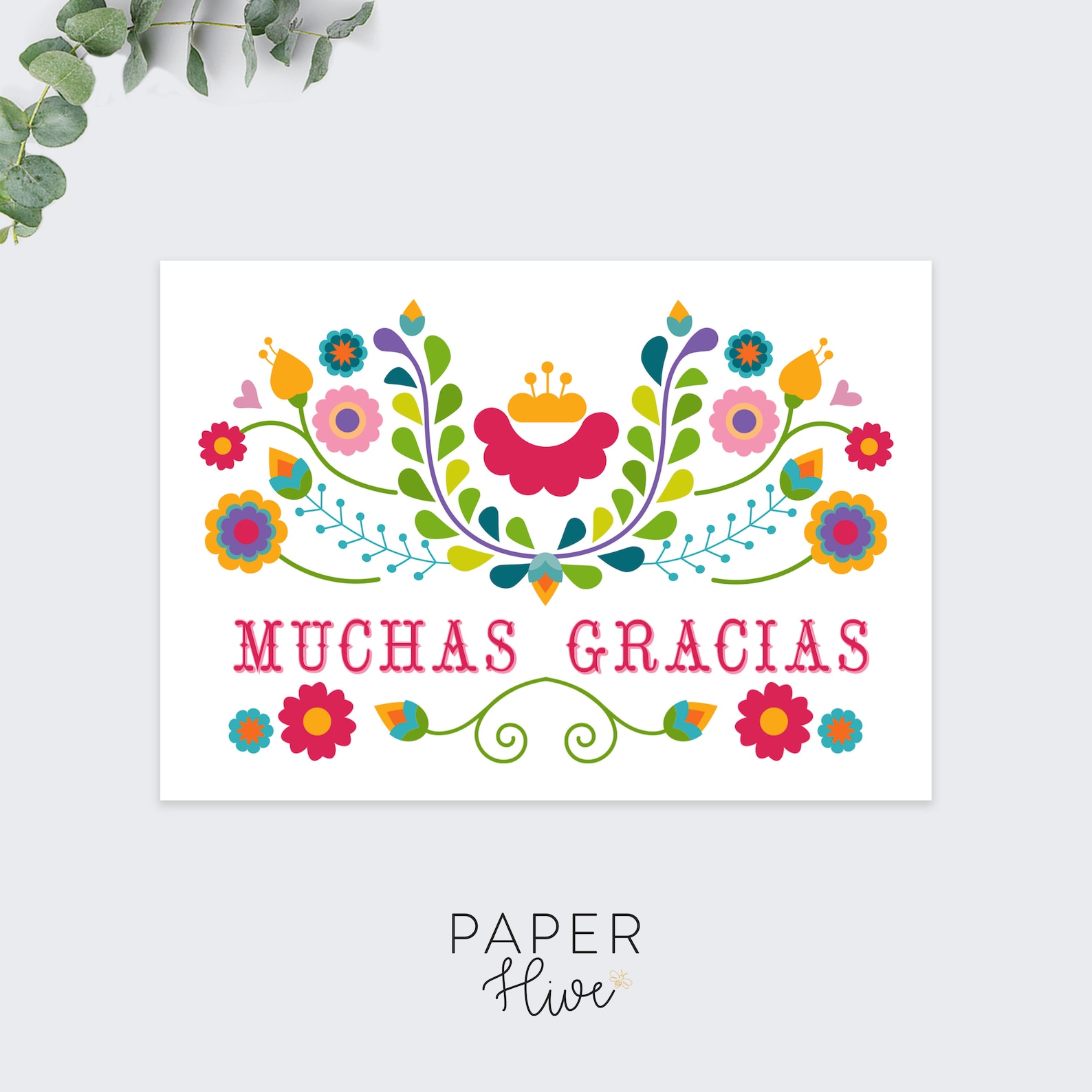 Muchas Gracias Thank You Card Set Greeting Card Thank You - Etsy