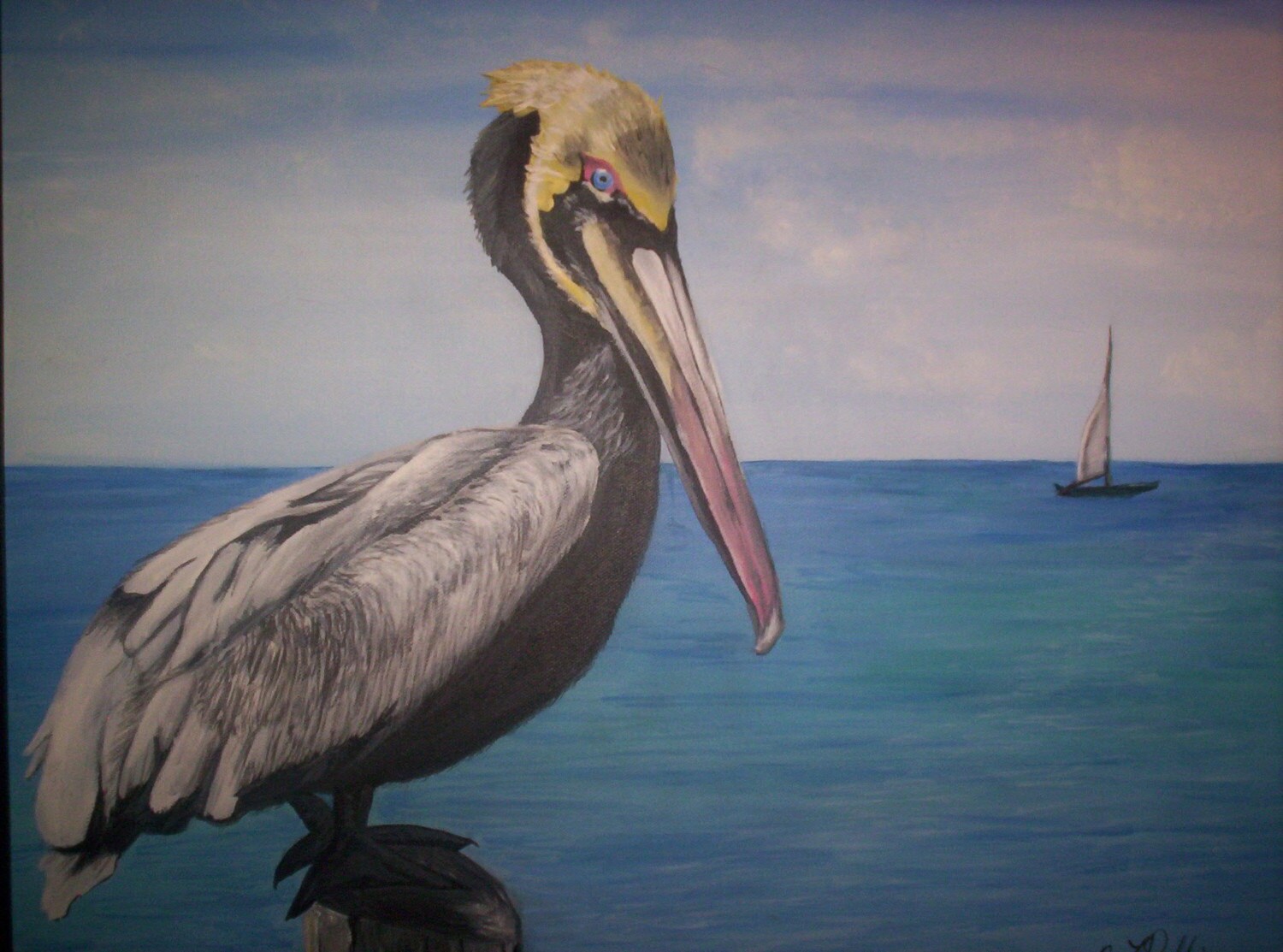 Blue Pelican Perched on Post in Water Sailboat in Background | Etsy