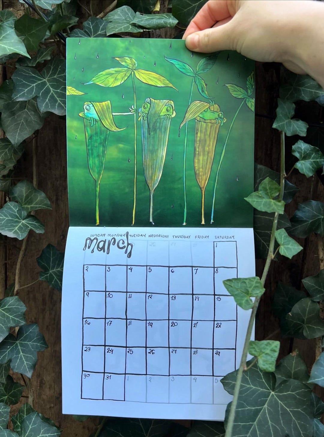 2025 Frog Calendar Now in Two Sizes - Etsy