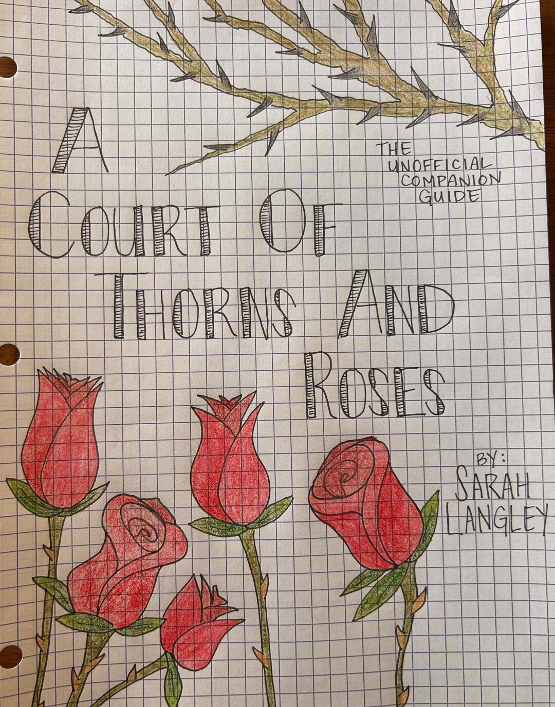 ACOTAR Unofficial Companion Guide - Etsy