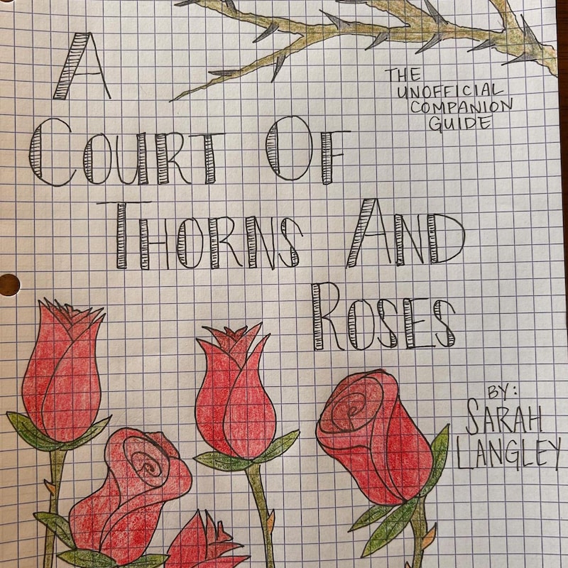 Acotar Reading Guides - Etsy