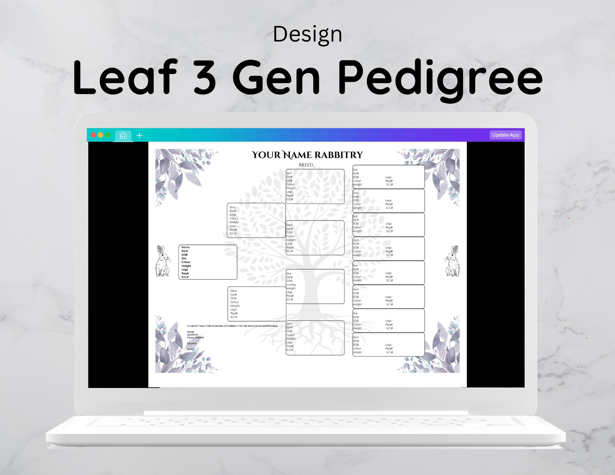 Editable Rabbit Pedigree DIY Canva Template Printable Bunny Pedigree 3 ...