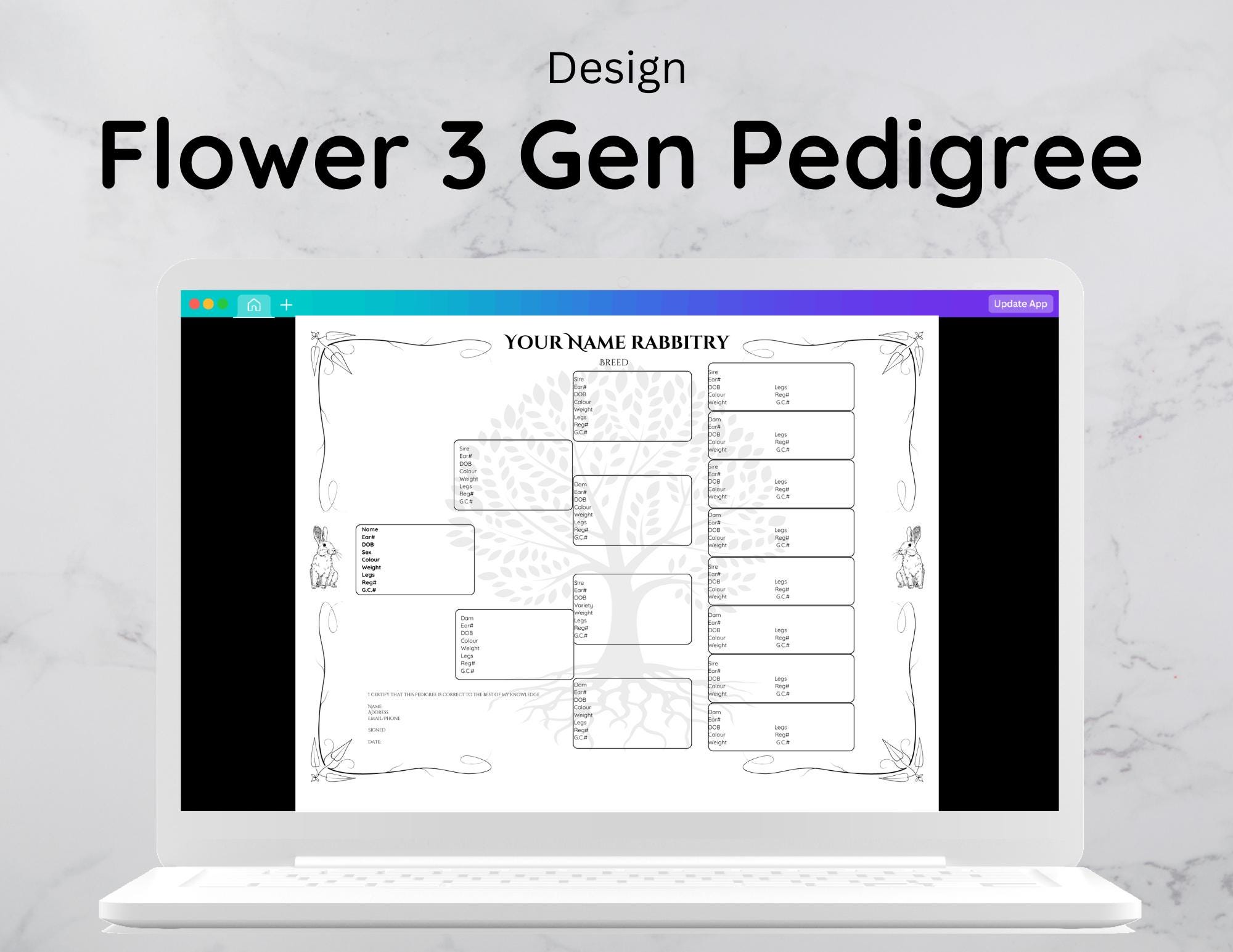 Editable Rabbit Pedigree DIY Canva Template Printable Bunny Pedigree 3 ...