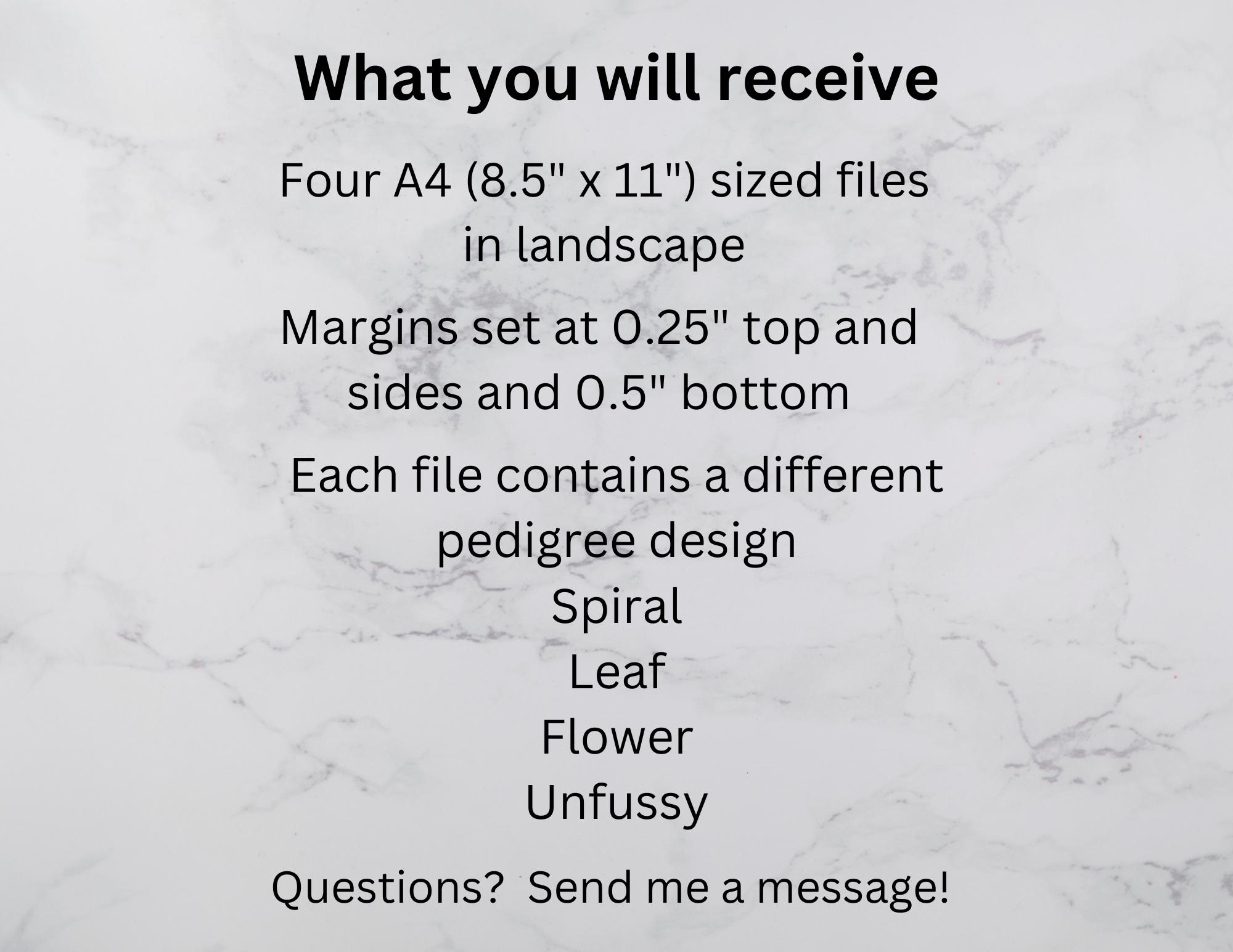 Editable Rabbit Pedigree DIY Canva Template Printable Bunny Pedigree 3 ...