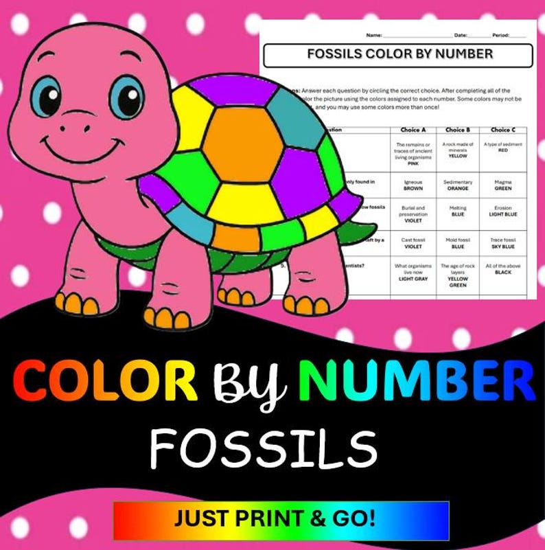 Fossils Color by Number - Etsy