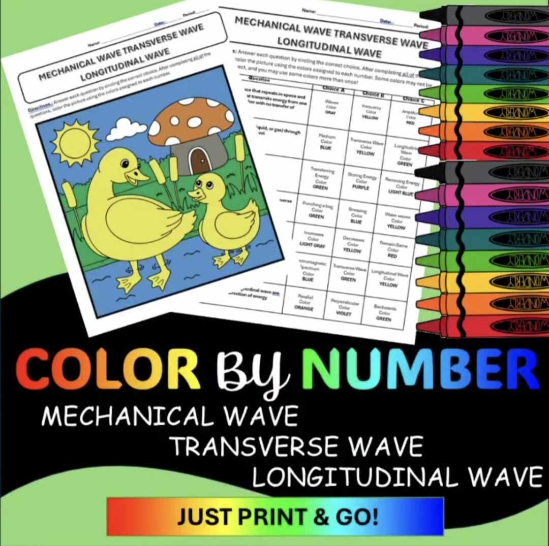 MECHANICAL WAVE Transverse Wave Longitudinal Wave Color by Number ...