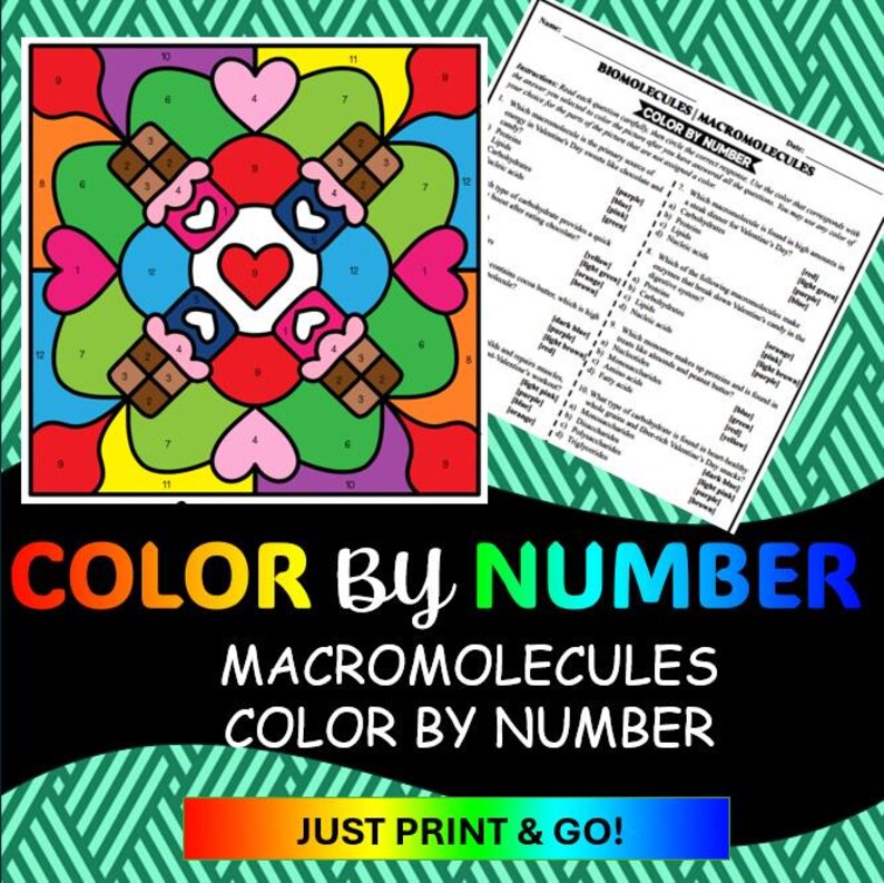 Macromolecules Color by Number - Etsy