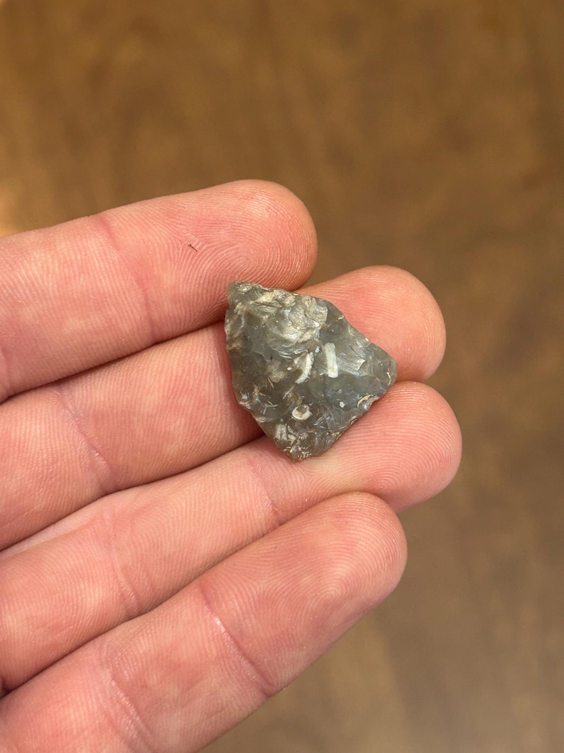 Fossil Chert Arrowhead - Etsy