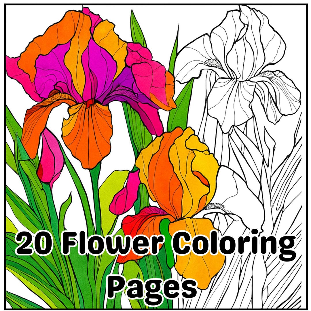 Flower Coloring Pages: 20 Printable Designs for Adults & Kids (PDF ...